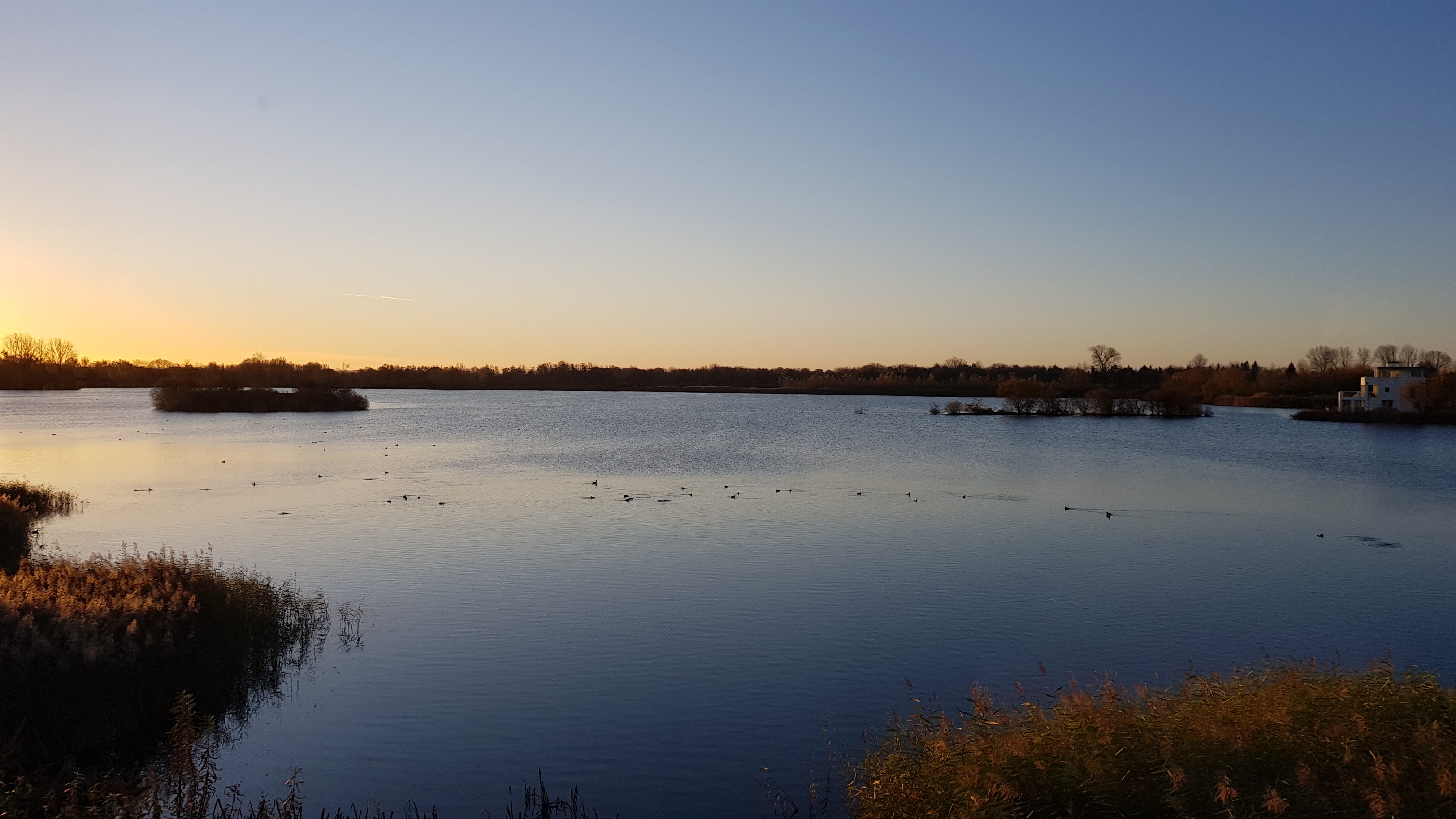 On 'our own' golden pond in the Cotswolds - by Clare McVey
