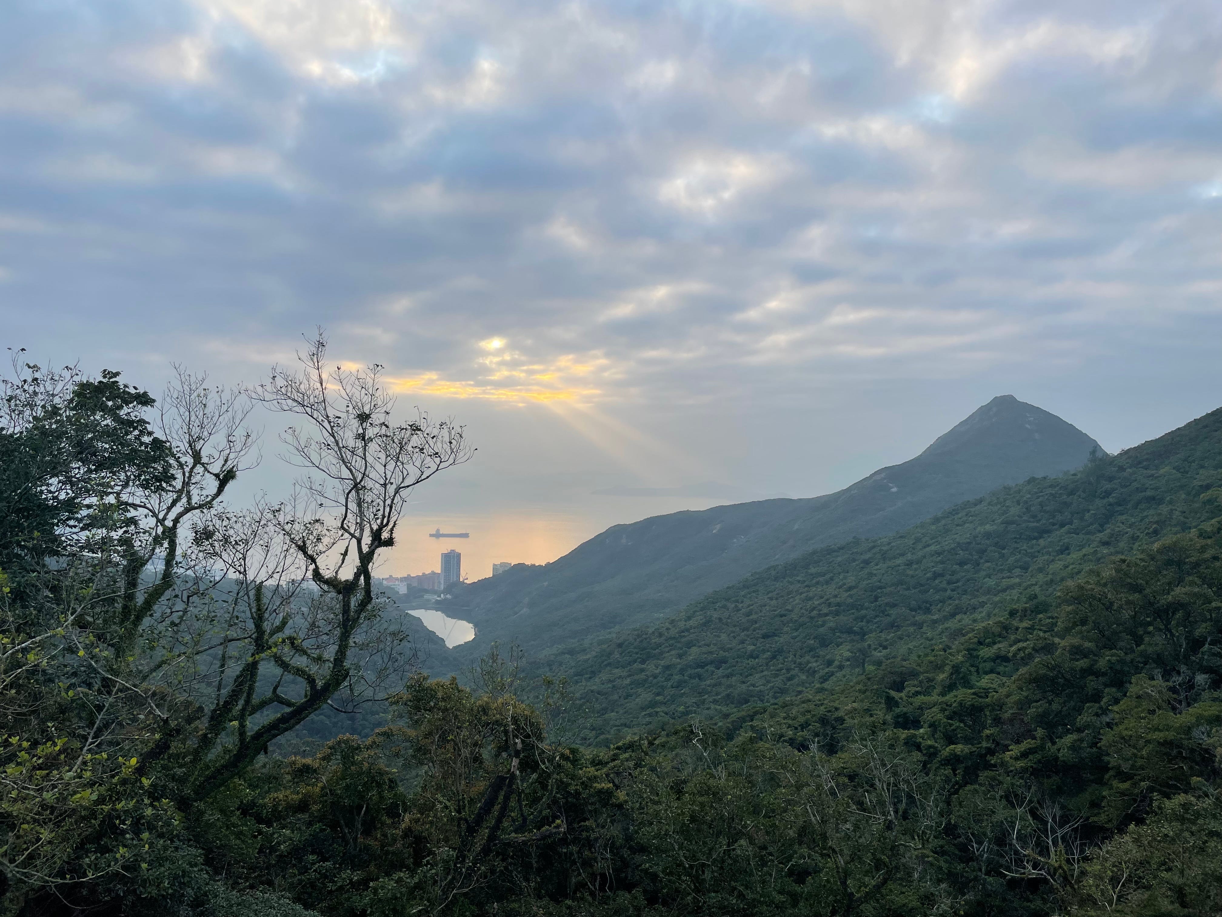 Victoria Peak, round 2 - by Martha - Gap Year