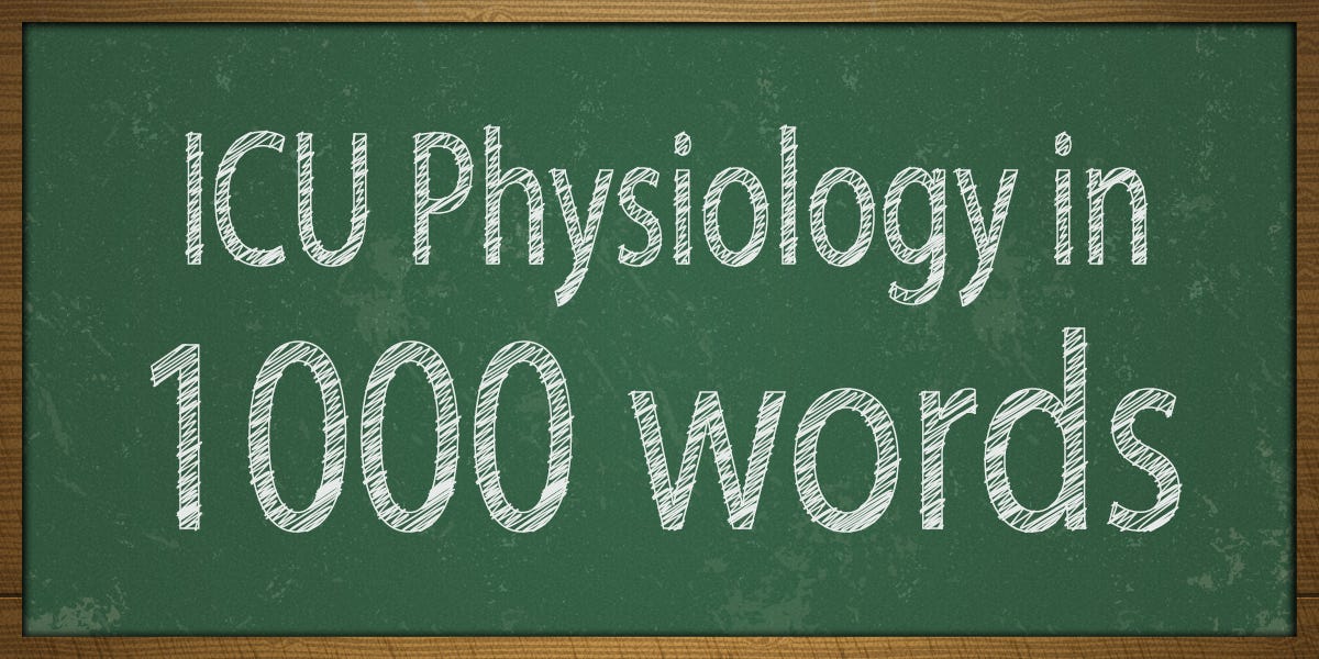 ICU Physiology in 1000 Words: Visualizing Heart-Lung Interaction
