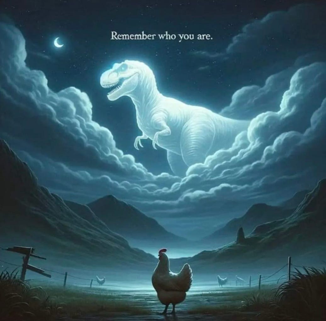 Sunday Strip: Leaping Wombat and other fairy stories. MEMy. | Strona ...