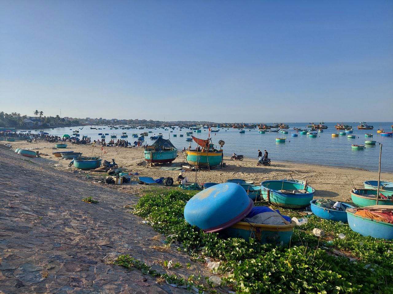 Your Internet Friend | Alana | Substack