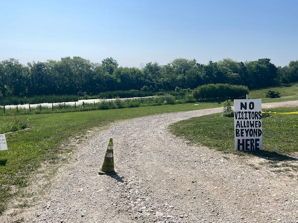 'I want to see for myself' - Thousands look for miracle at Gower Abbey