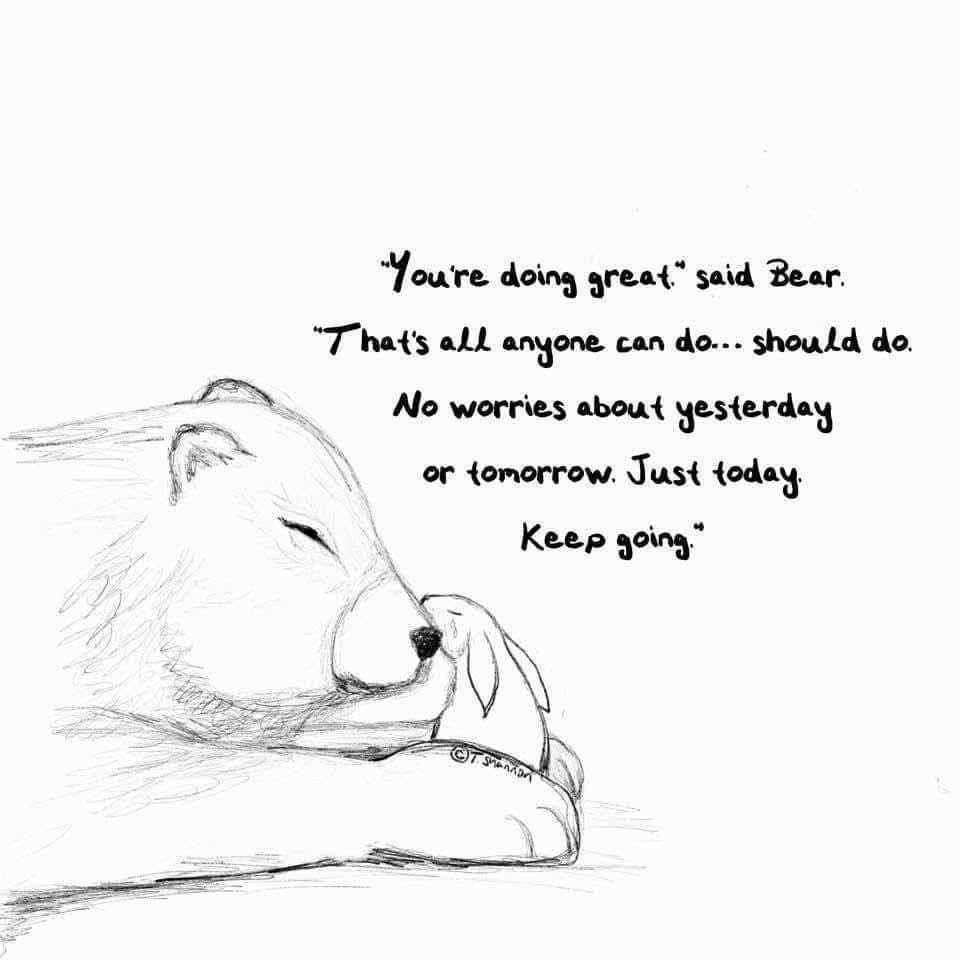 Daily Rabbit & Bear - by Tara Shannon - Tara’s Substack