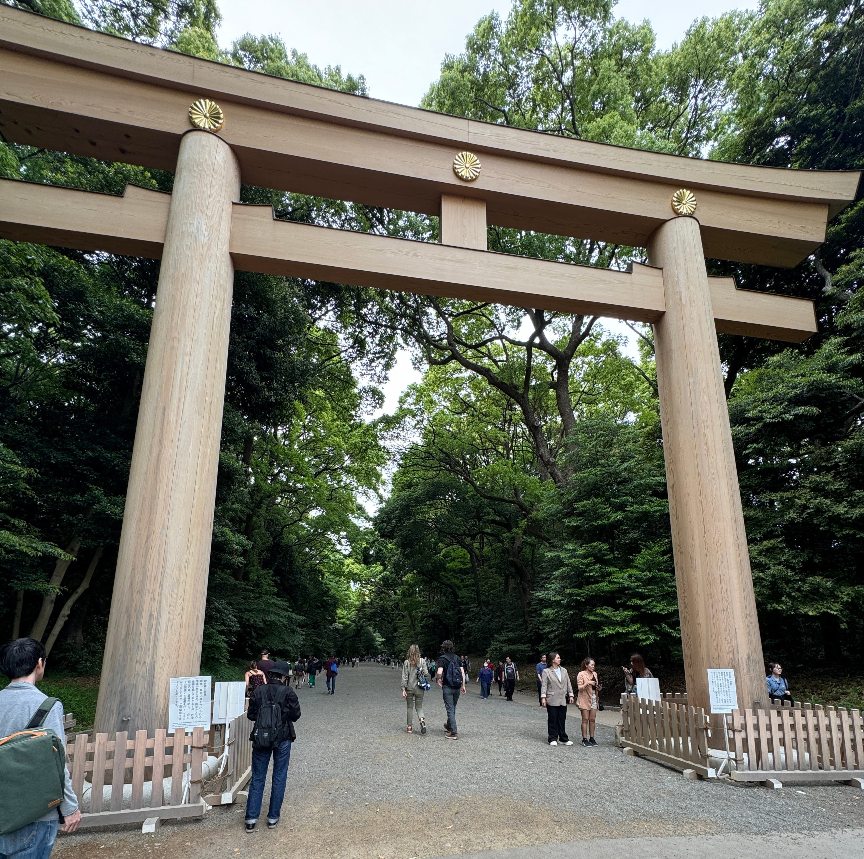 Solo Tokyo 2 - Sam’s Substack