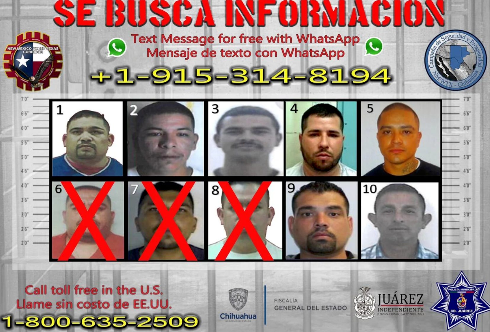 Mexico's Cartel Map 2024 - CrashOut by Ioan Grillo