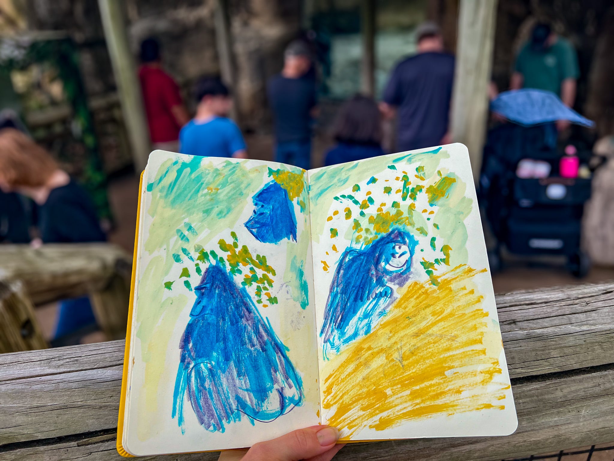 Drawing at the zoo - by Beth Spencer