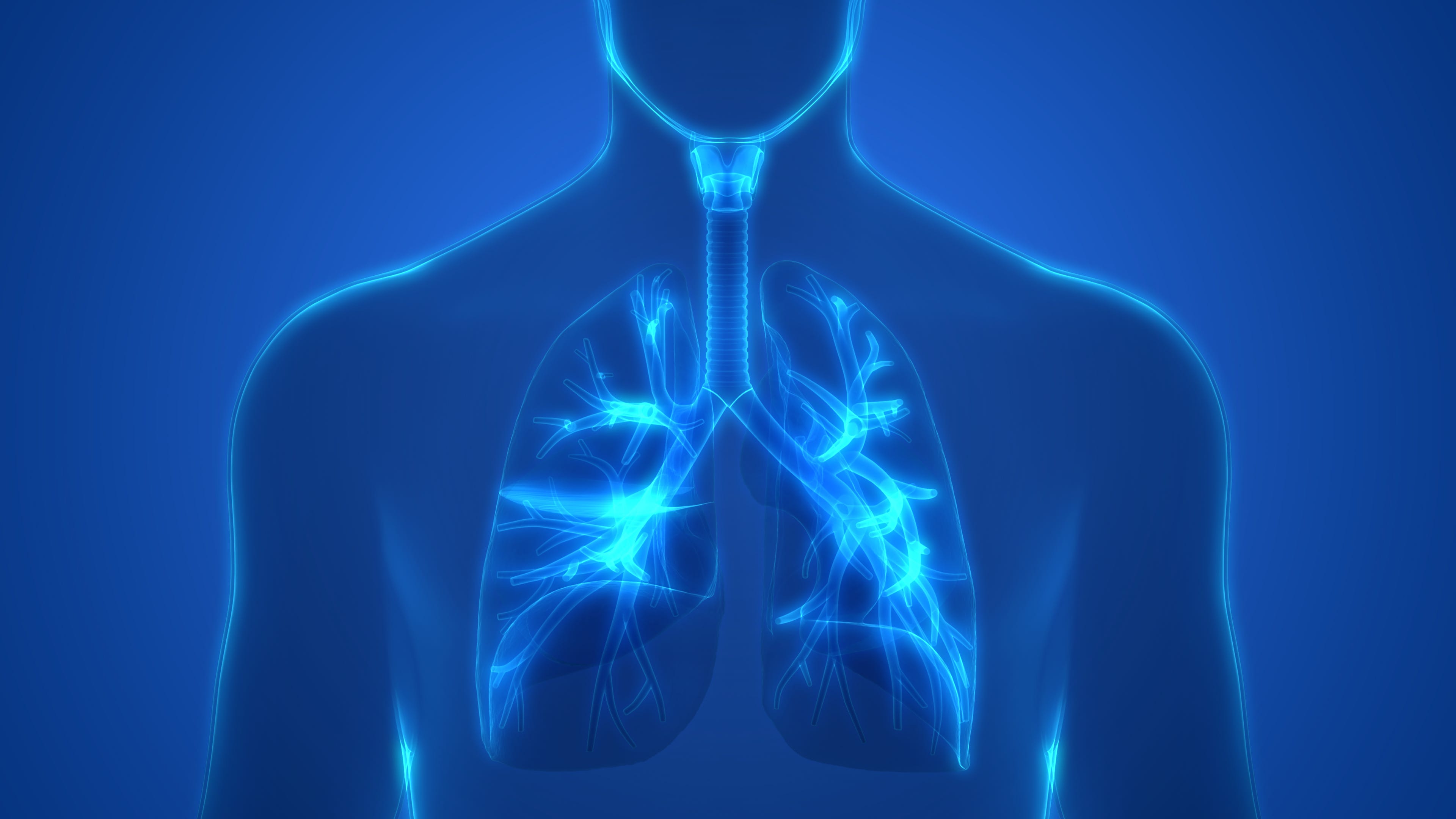 The air we breathe - by Jeanne Malmgren - Rx Nature