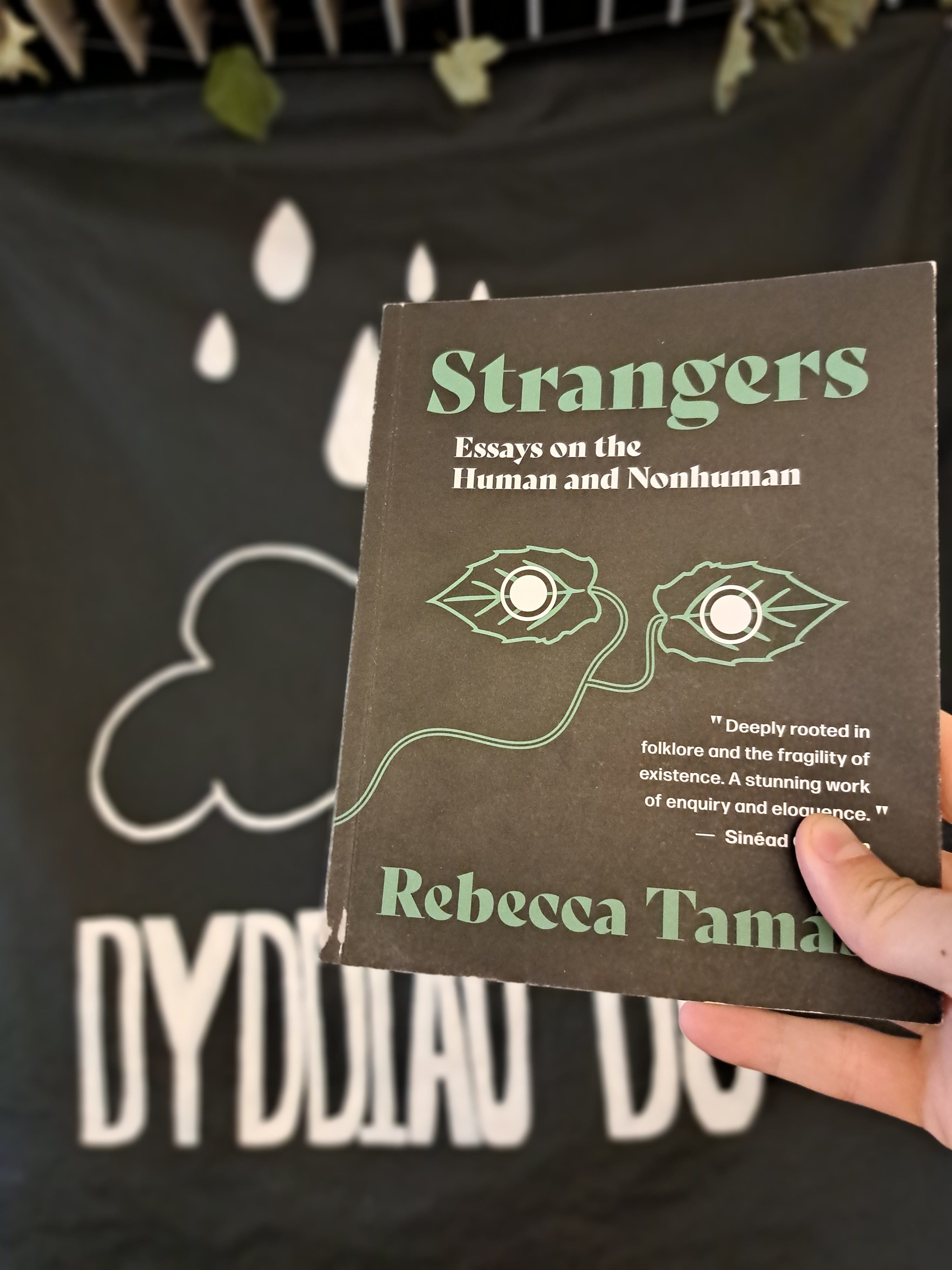 Y Gair #13 - Dyddiau Du