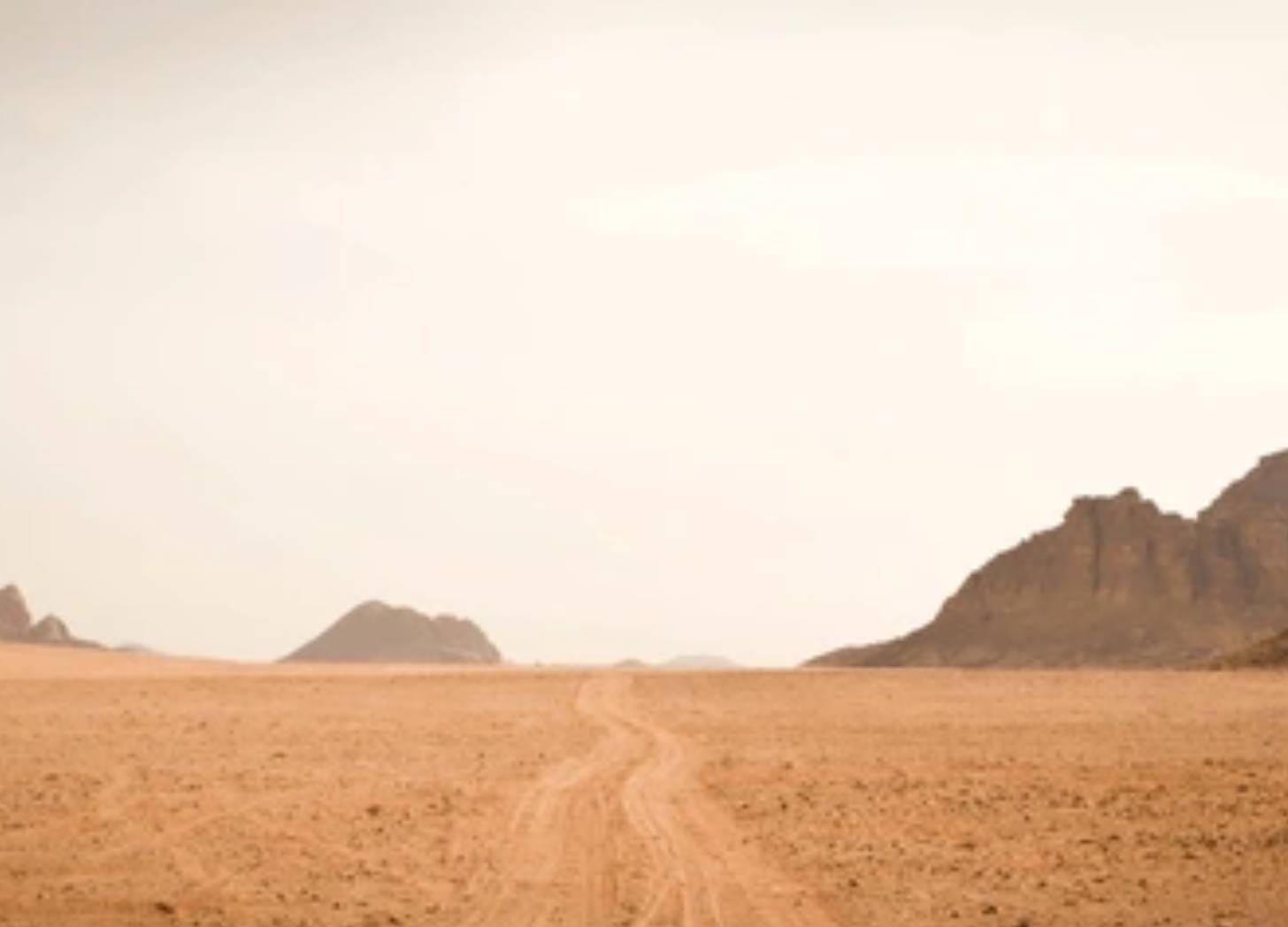 Trans People are Nowhere - Jen Ives