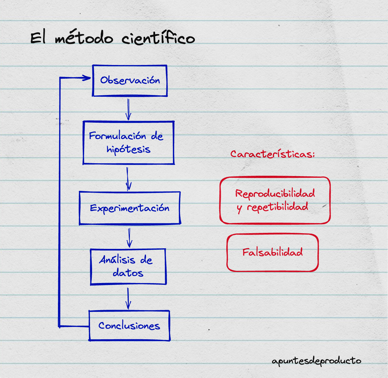 Etapas Del Metodo Cientifico 🧑🏻🎓👩🏻🎓El Método