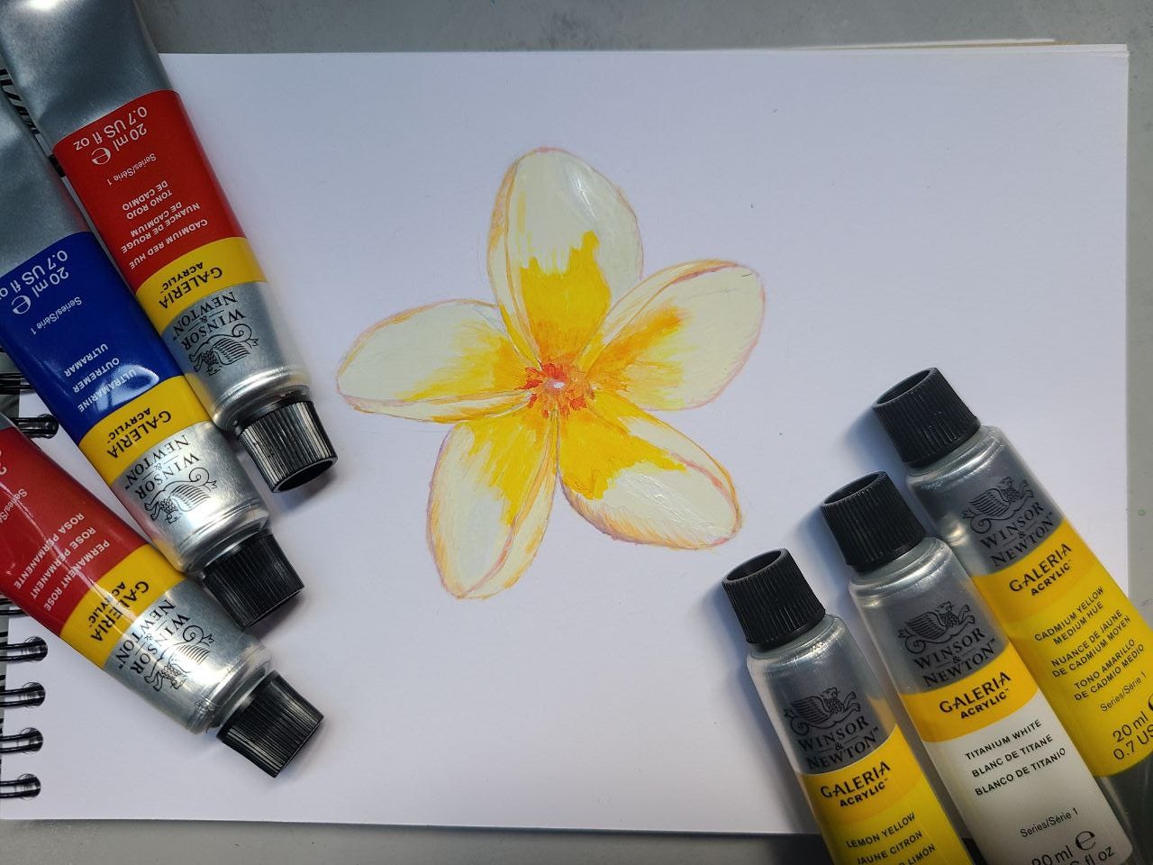 Beautiful Flower References Part 1 - by Masha Eretnova