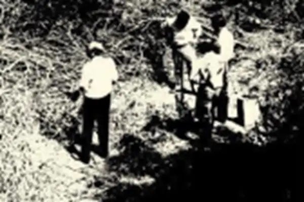Shadow of Fear: The Relentless Stalking and Unsolved Murder of Dorothy ...