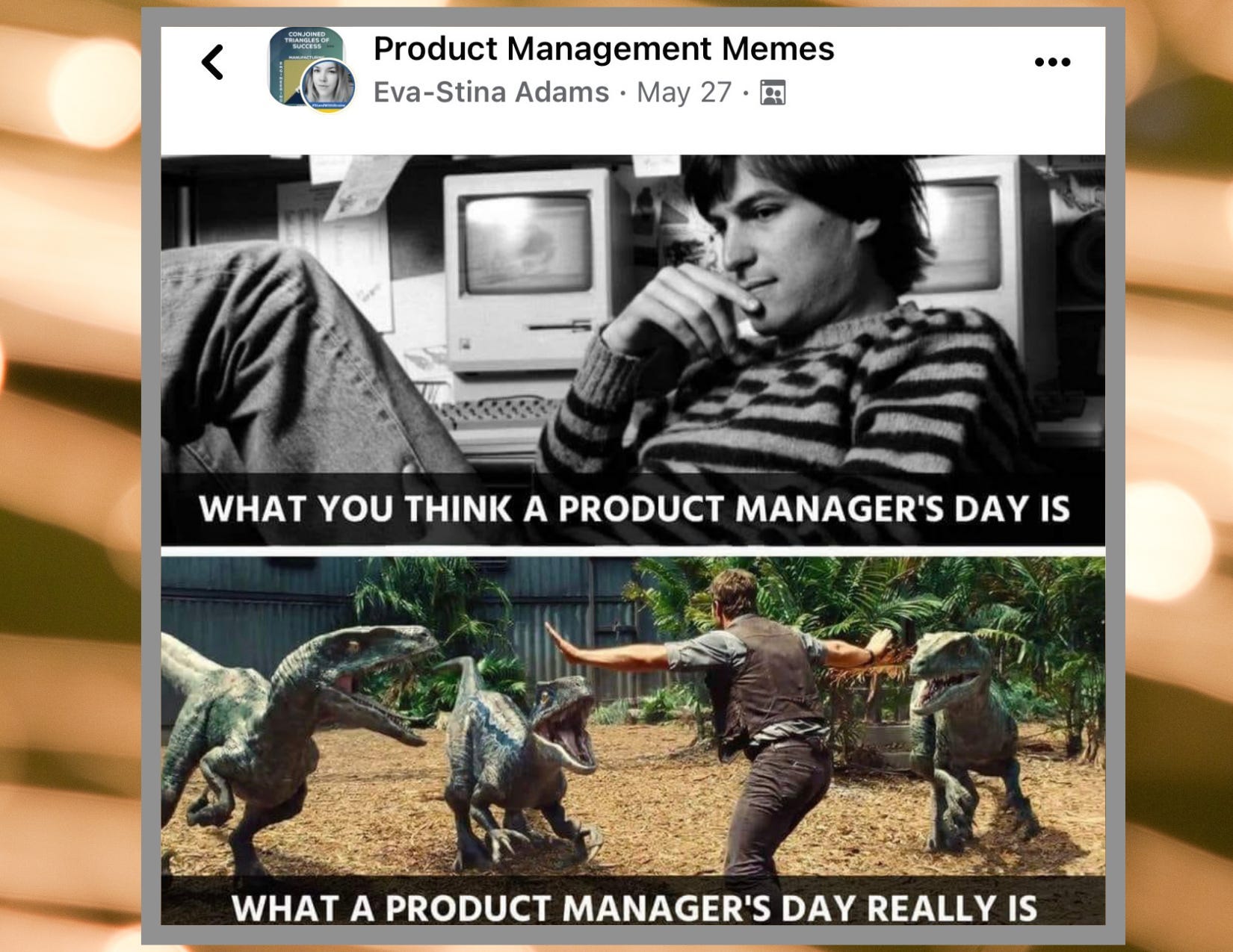 😎 Week 22 - How to create a customer persona for your product