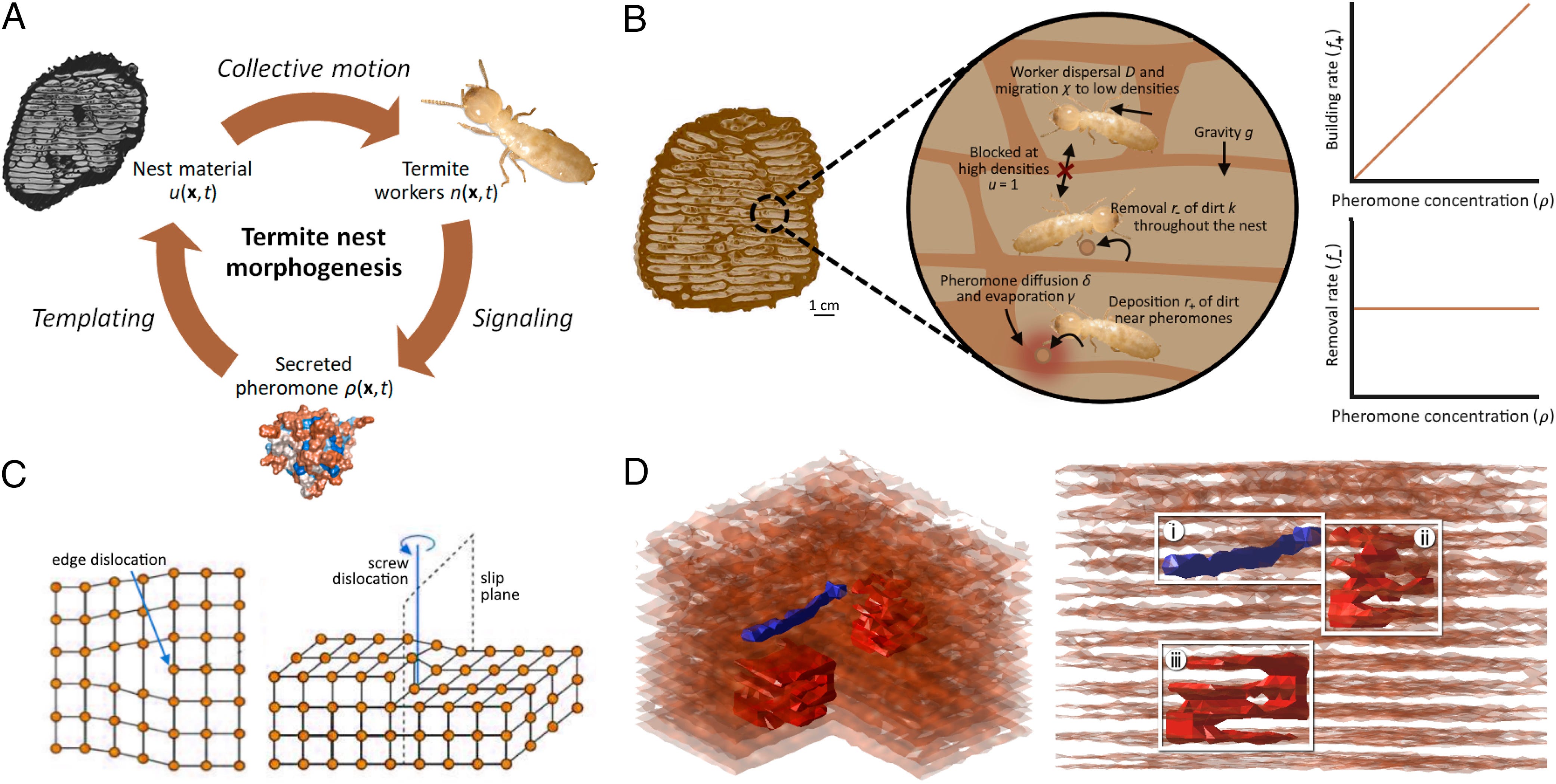 Complexity Thoughts: Issue #22 - by Manlio De Domenico