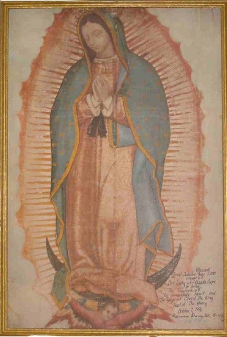 The Mysteries of Juan Diego's Tilma - by Sheryl Losser