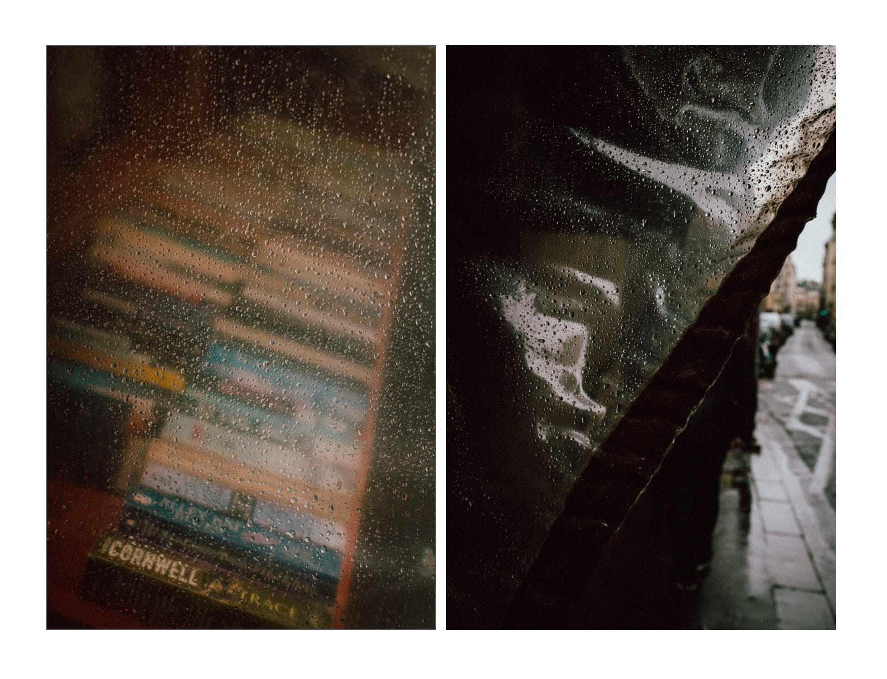 Nearly Spring Photo Journal - by Augusta Sagnelli