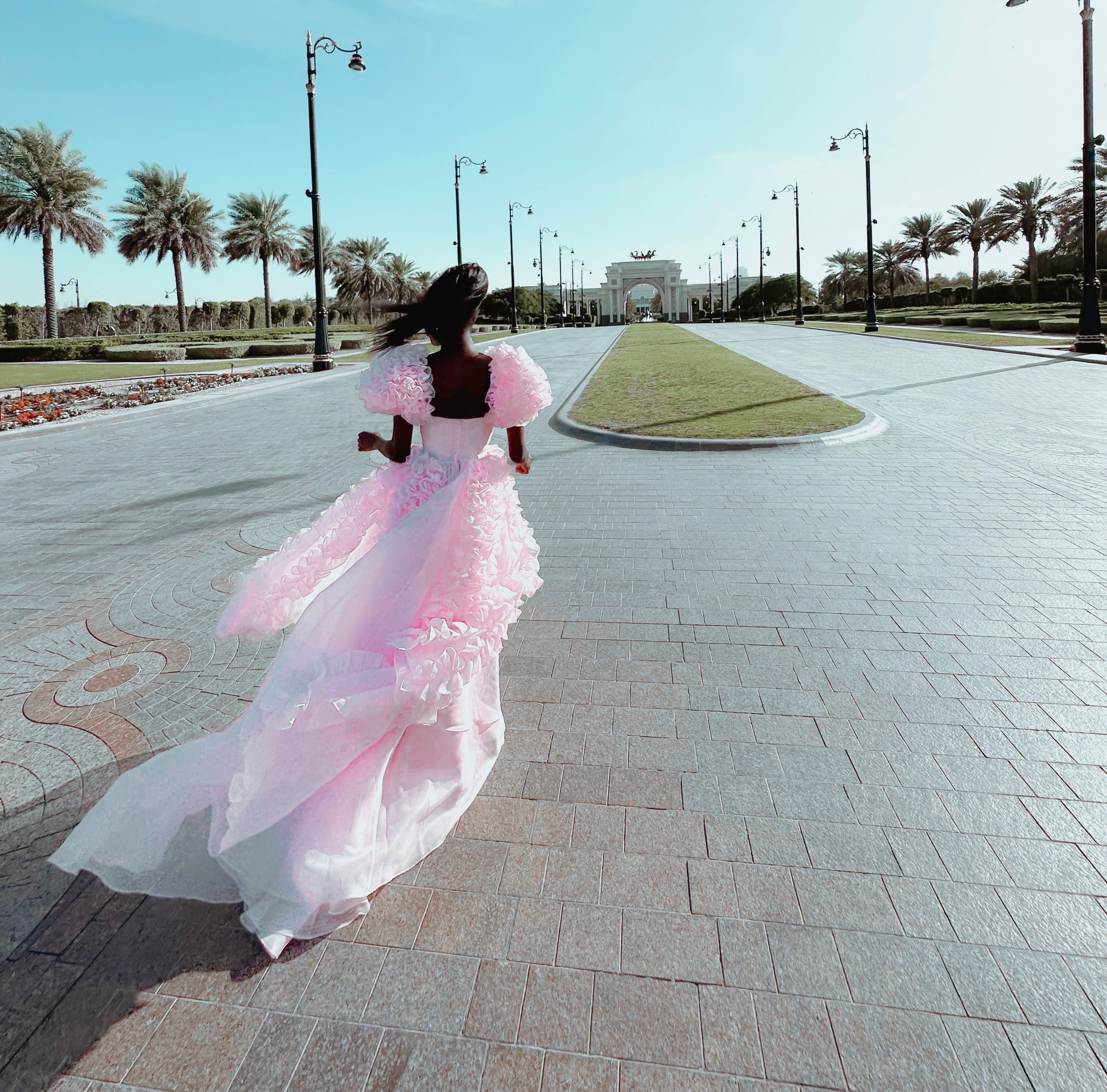 The ways of the soft, feminine woman - by Princess Diaries