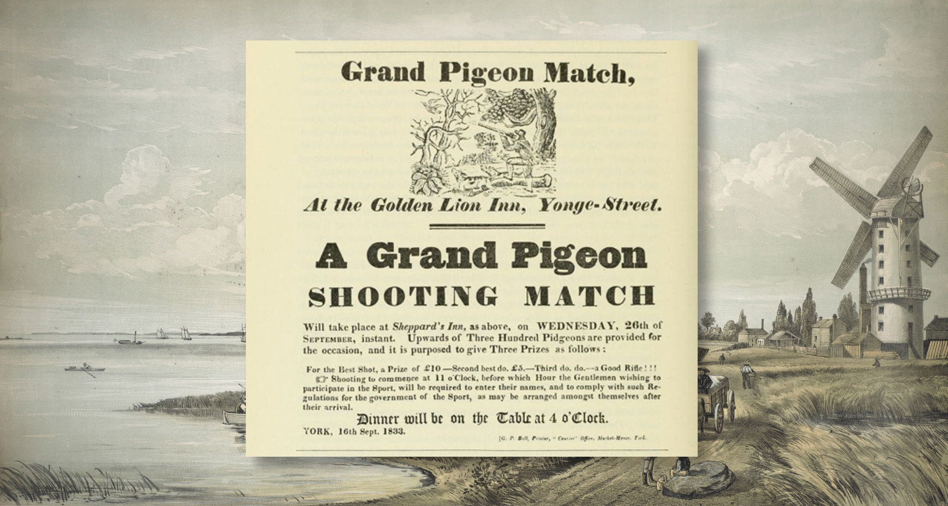 A Brief History of the Pigeons of Toronto - by Adam Bunch