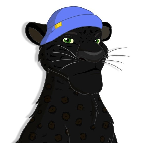 Uai so serious? | Substack