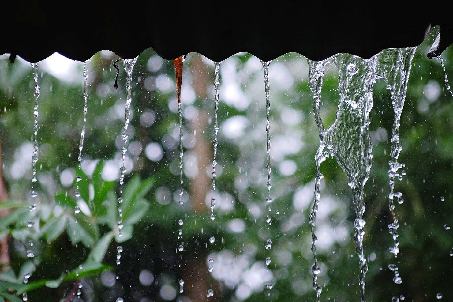 Rainwater Collection - by Tanner Janesky