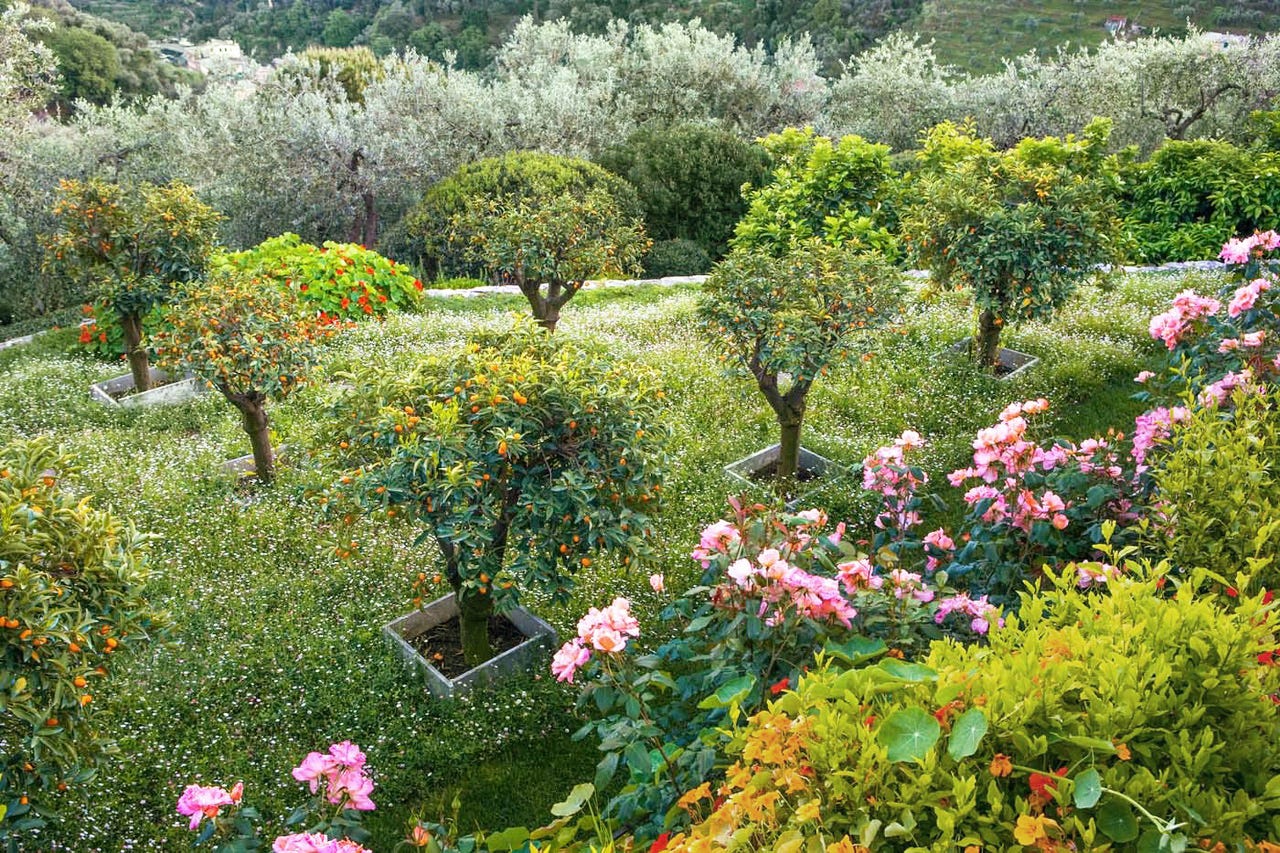 Why Go to an Open Garden🌹Near You - by Heather Evans