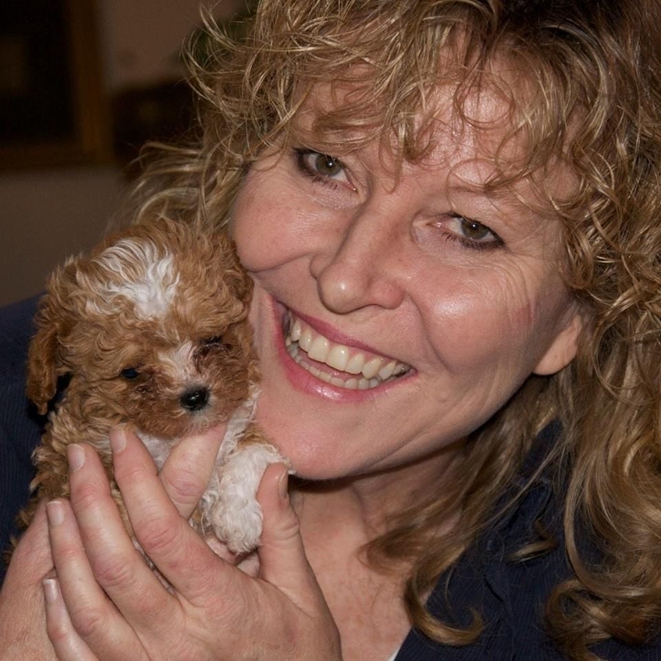 April Daniels | Substack