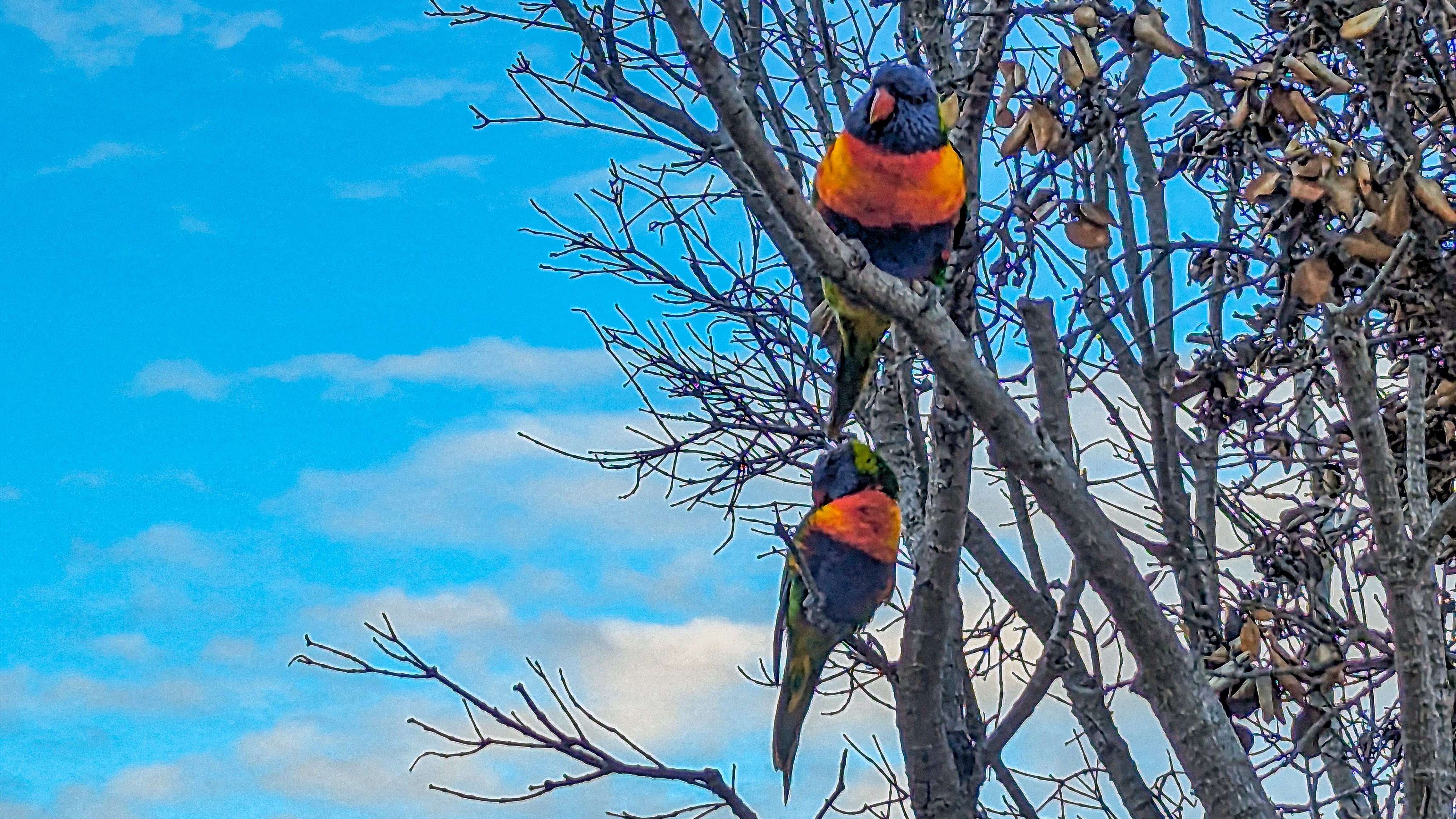 That Time I Met the Luckiest Woman Alive