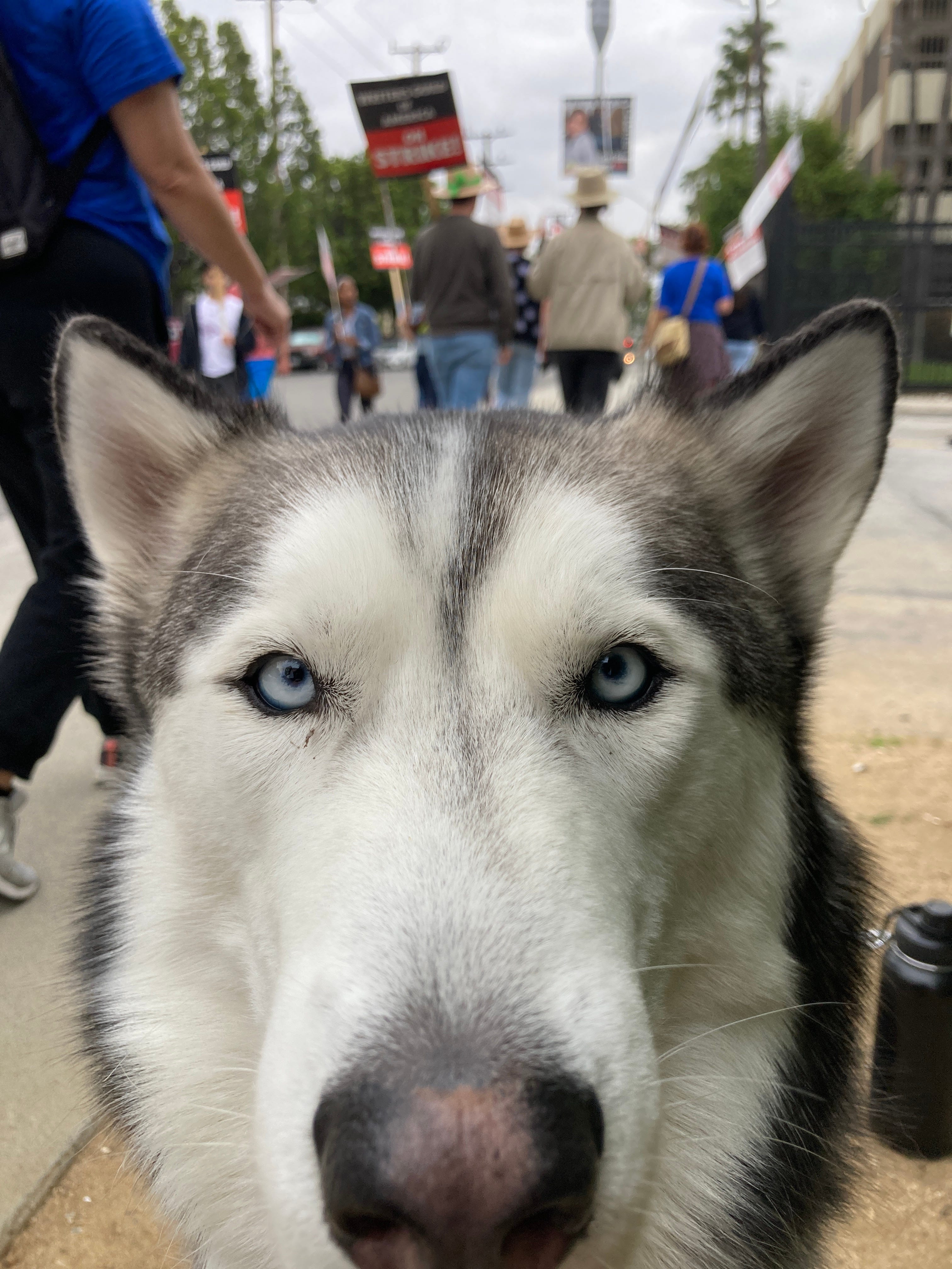 Matthew Doherty | Substack