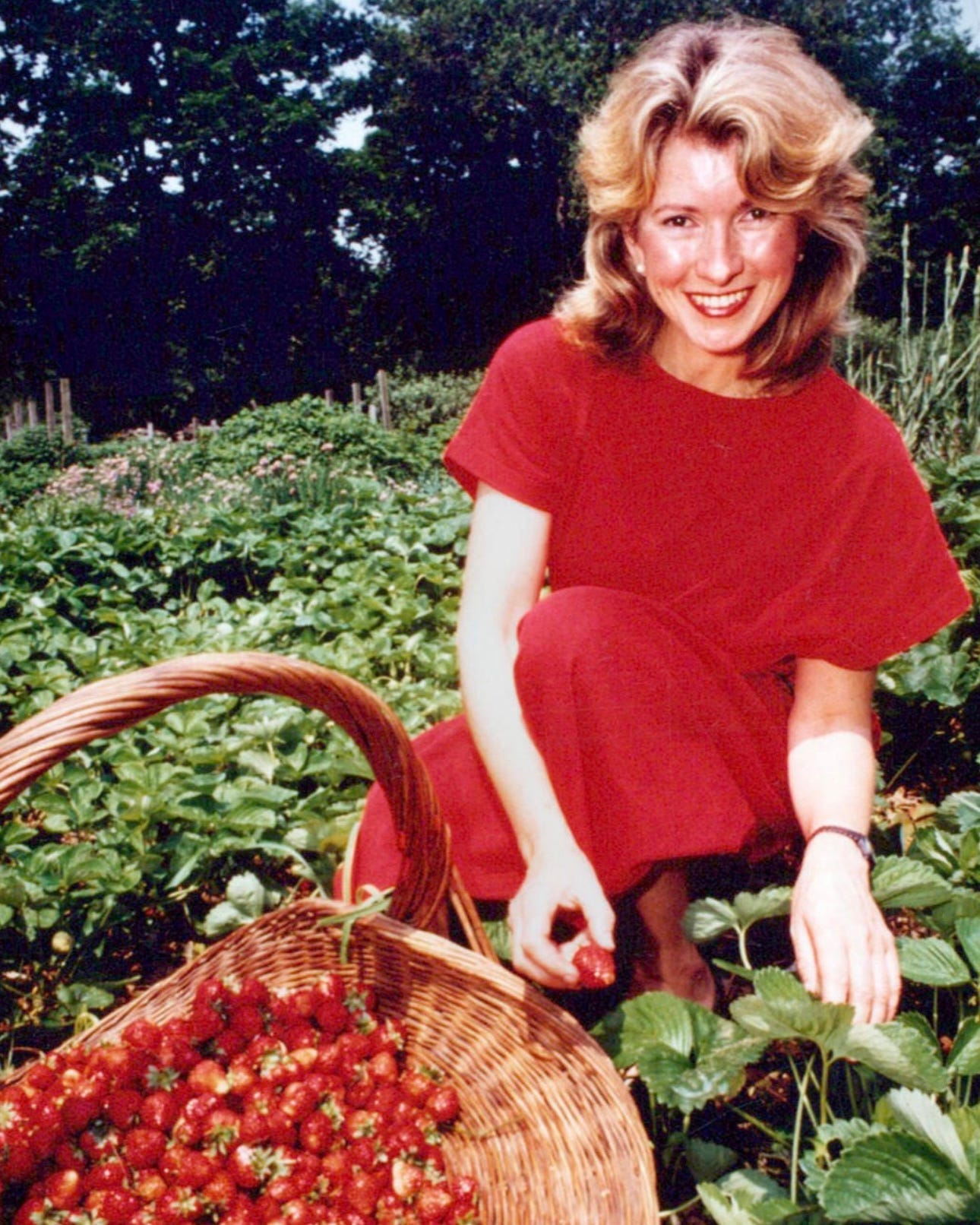 Strawberry Blog - by Katie Merchant - thank you, ok