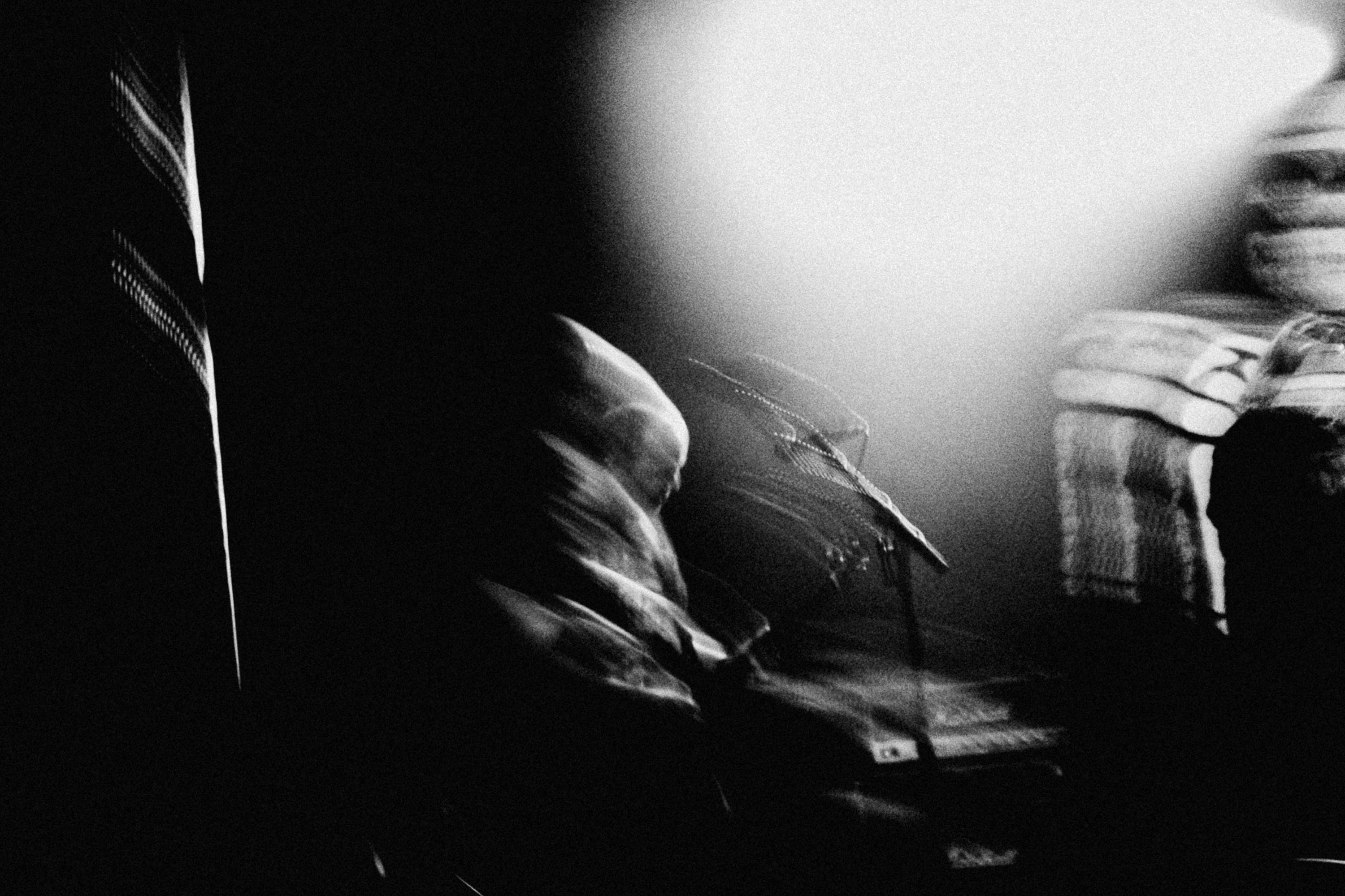 Orchid - Collector | Ian Pritchard