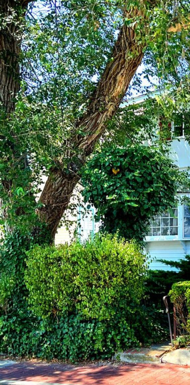 The Third Great Truth - by Marjie Alonso