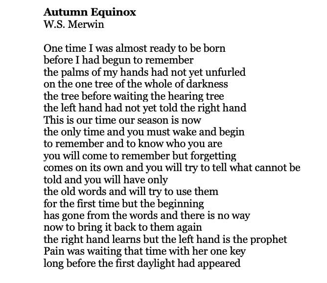 Poems for the Autumn Equinox - by Maya C. Popa