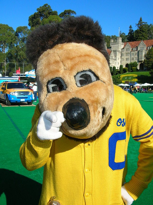 What On Earth Is Going On With Cal Football?