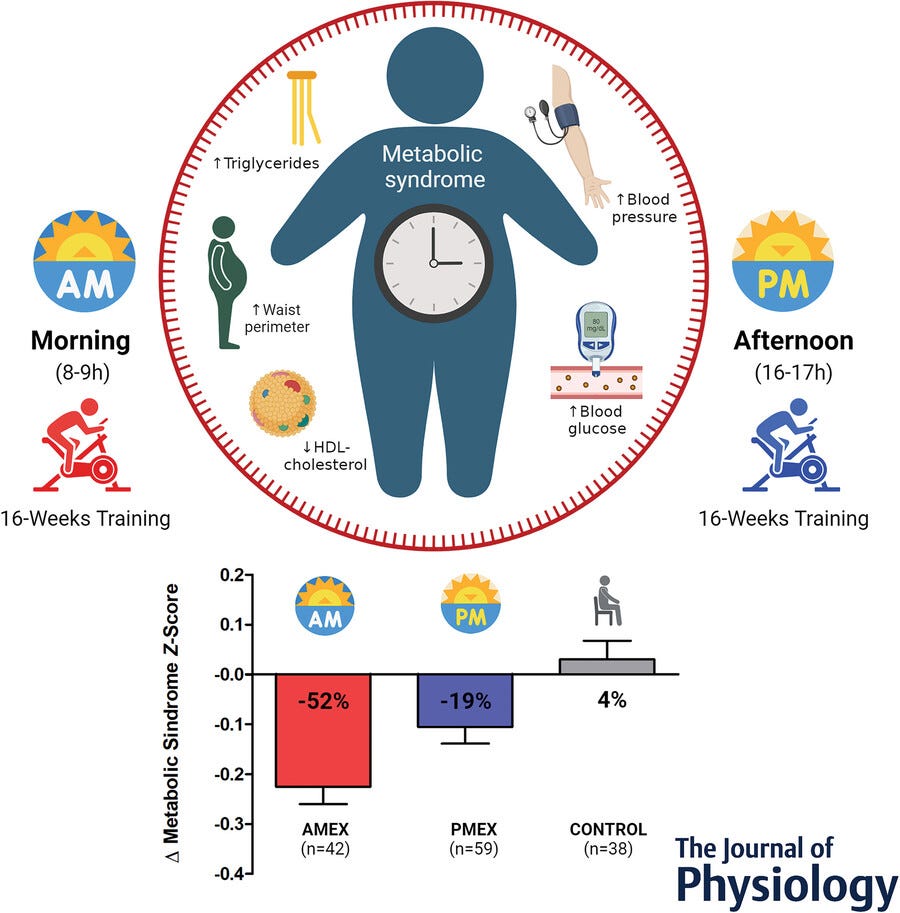 Physiology Friday #197: Do Morning Workouts Maximize the ...