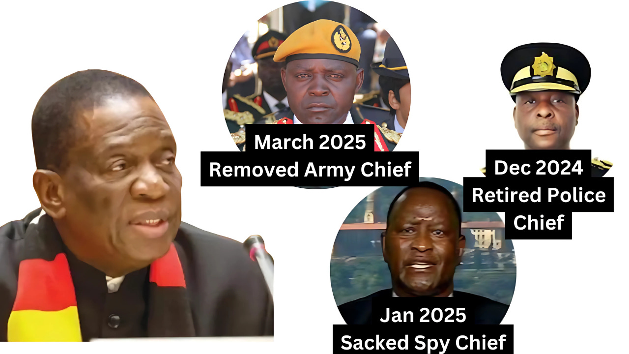 Intelligence Analysis: Mnangagwa Fires Army Chief Sanyatwe After ...