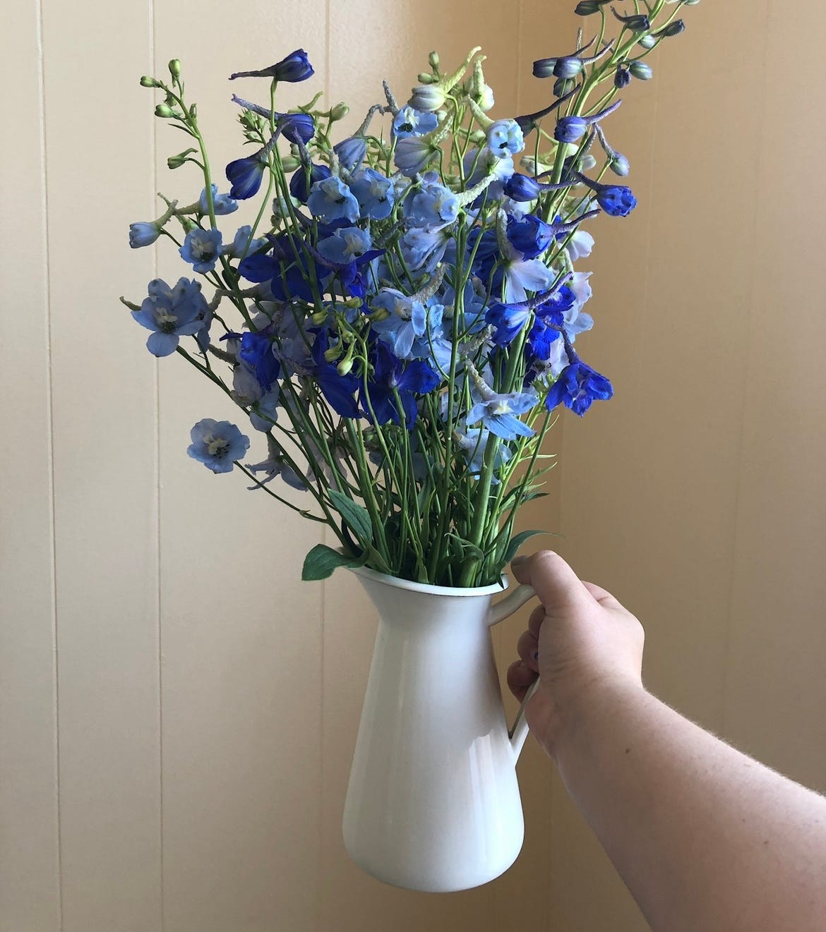 Lila Goehring | Substack