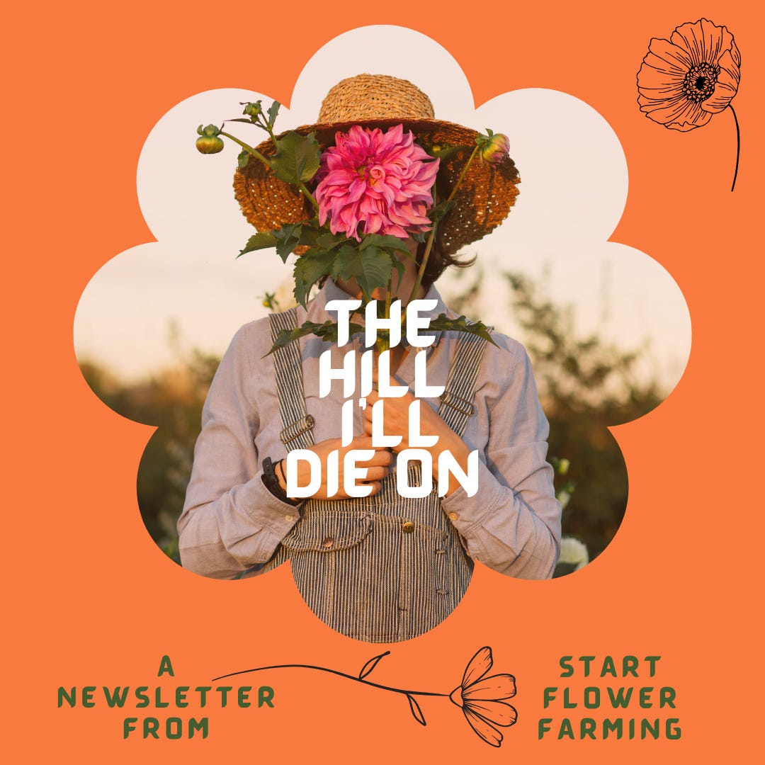 The Hill I'll Die On #00 - by Elly Rakhmetouline