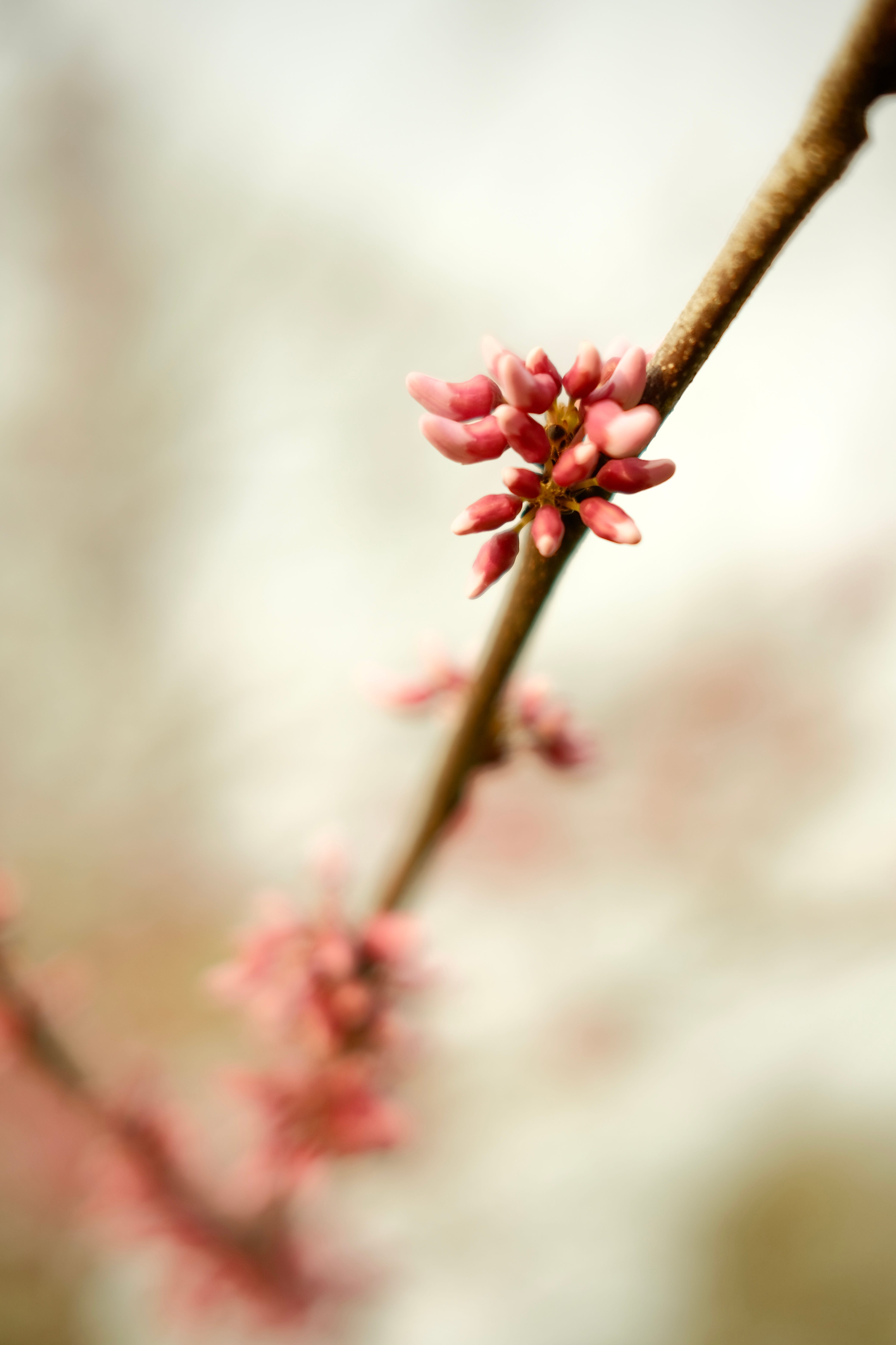 A love letter for high performers - Will Acuff