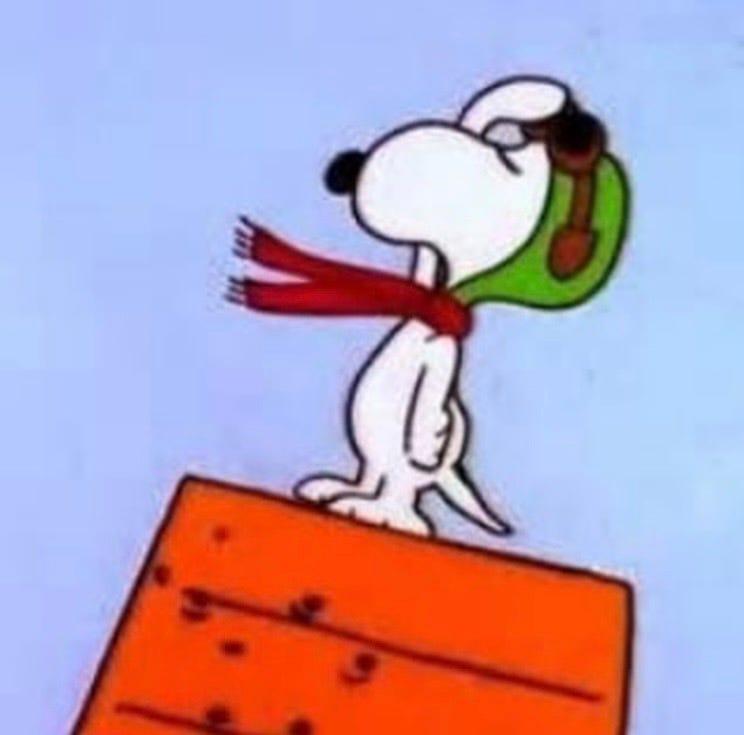 Ally Rose | Substack