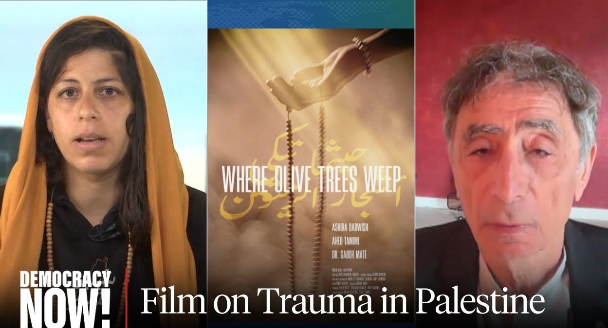 “Where Olive Tree Weeps” - by Mohammed Khaku