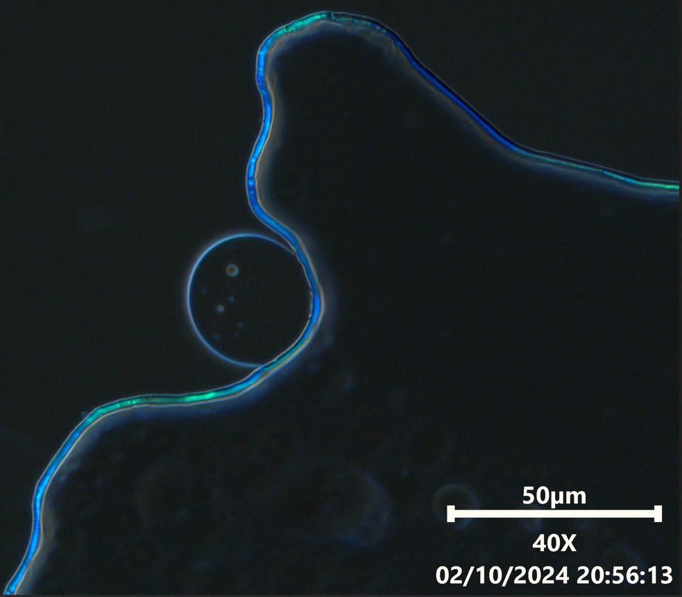 Self-assembly, Multi-lamellar vesicles and structures formed within the ...