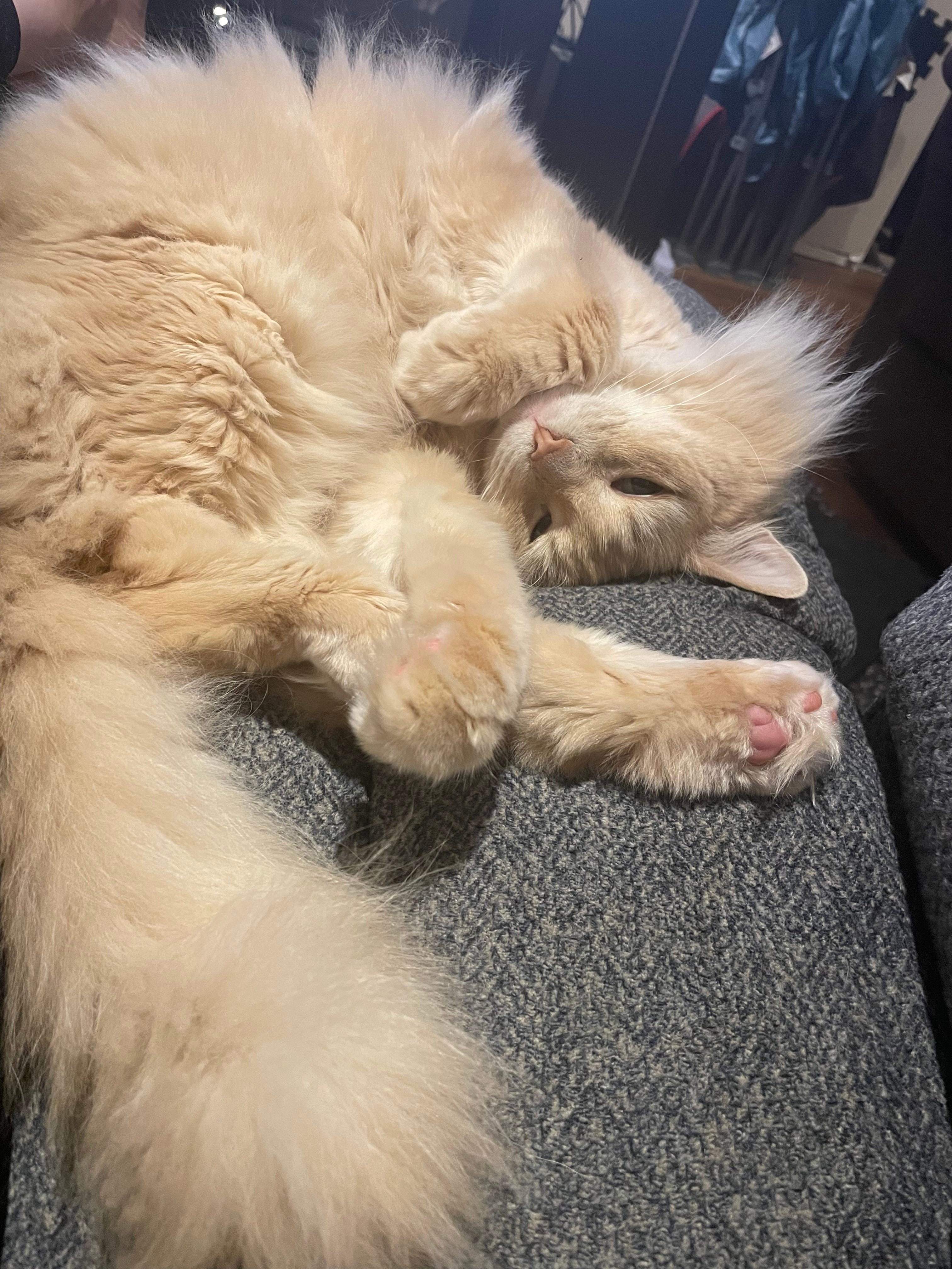 Welcome! - Meagan’s Substack