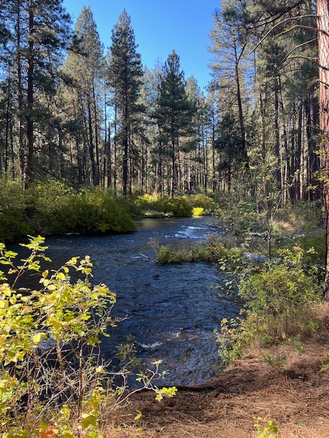 Living Life in 2025 - by Bill - HOLY REMINDERS