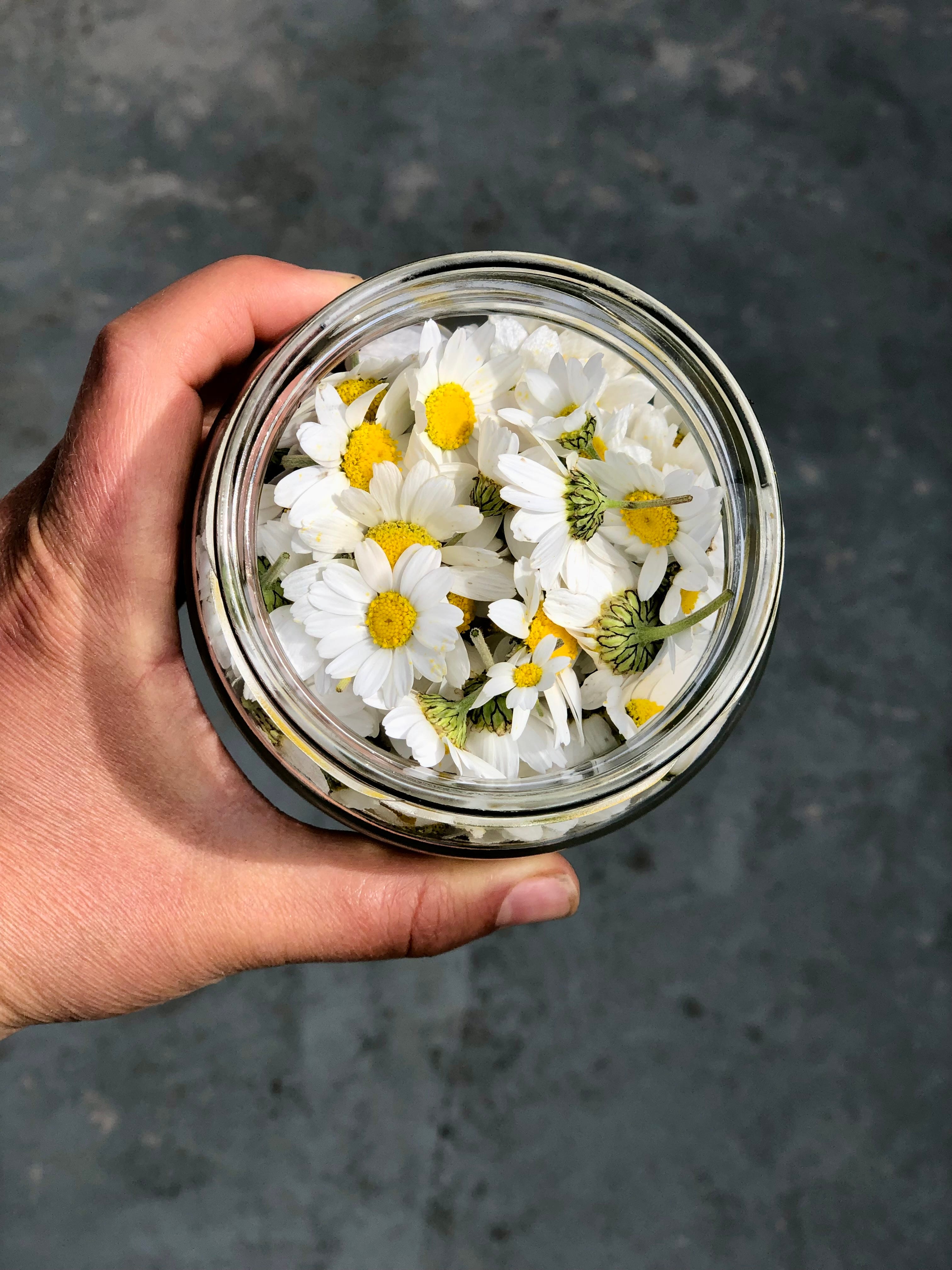 Sounds of the Dawn - teal george