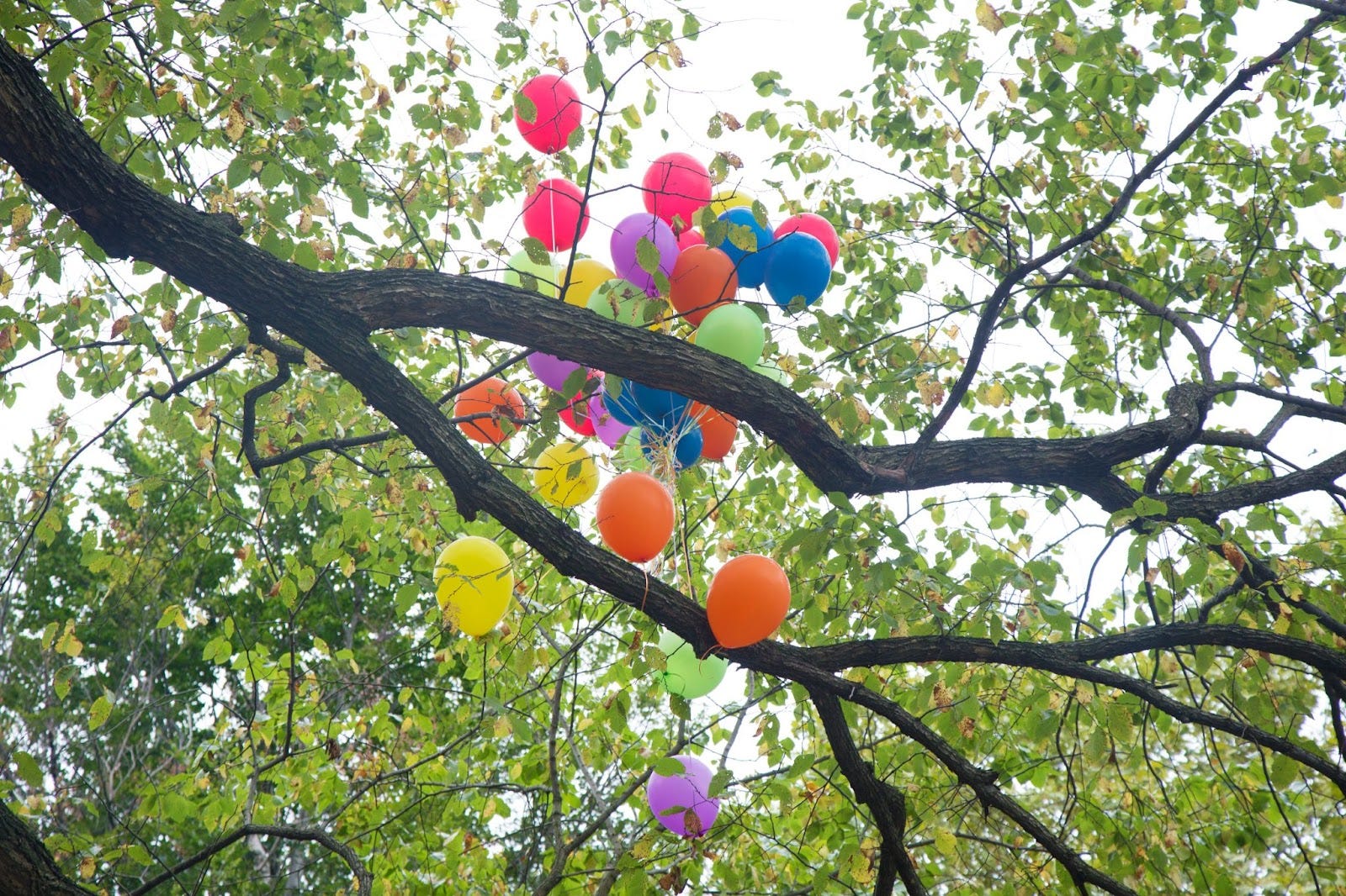 You Can Spend Less Time Feeling Less-Than