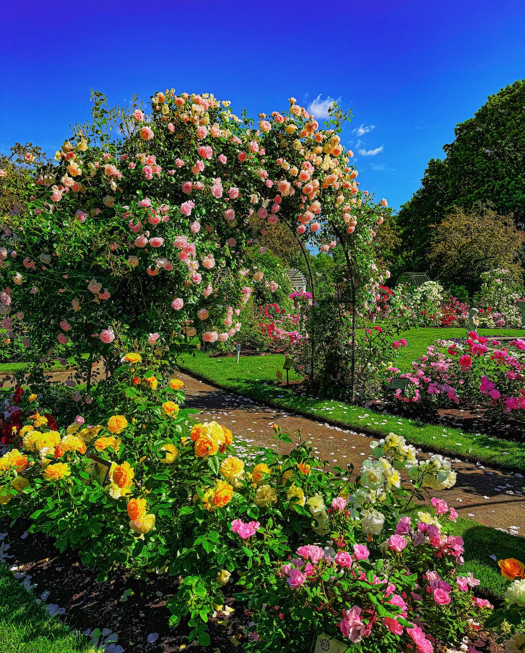 Approachable - by Sheila Moeschen - Stay Curious