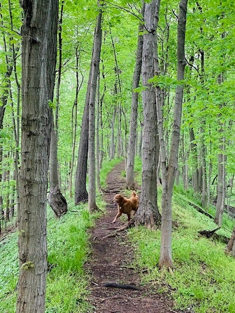 APRIL - by JD Green - JD’s Substack