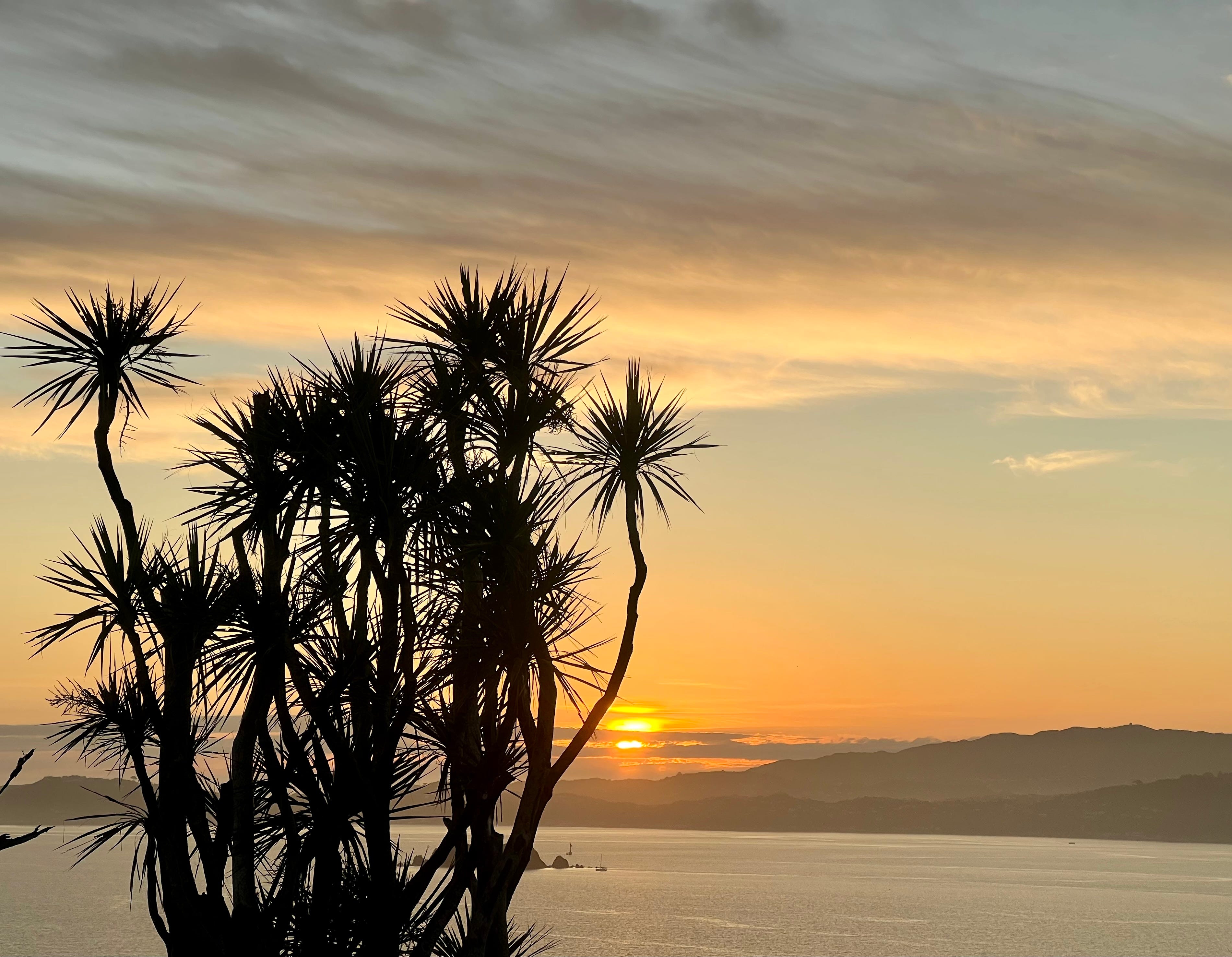 Writing for A↬I: some guidelines - by Dave Heatley