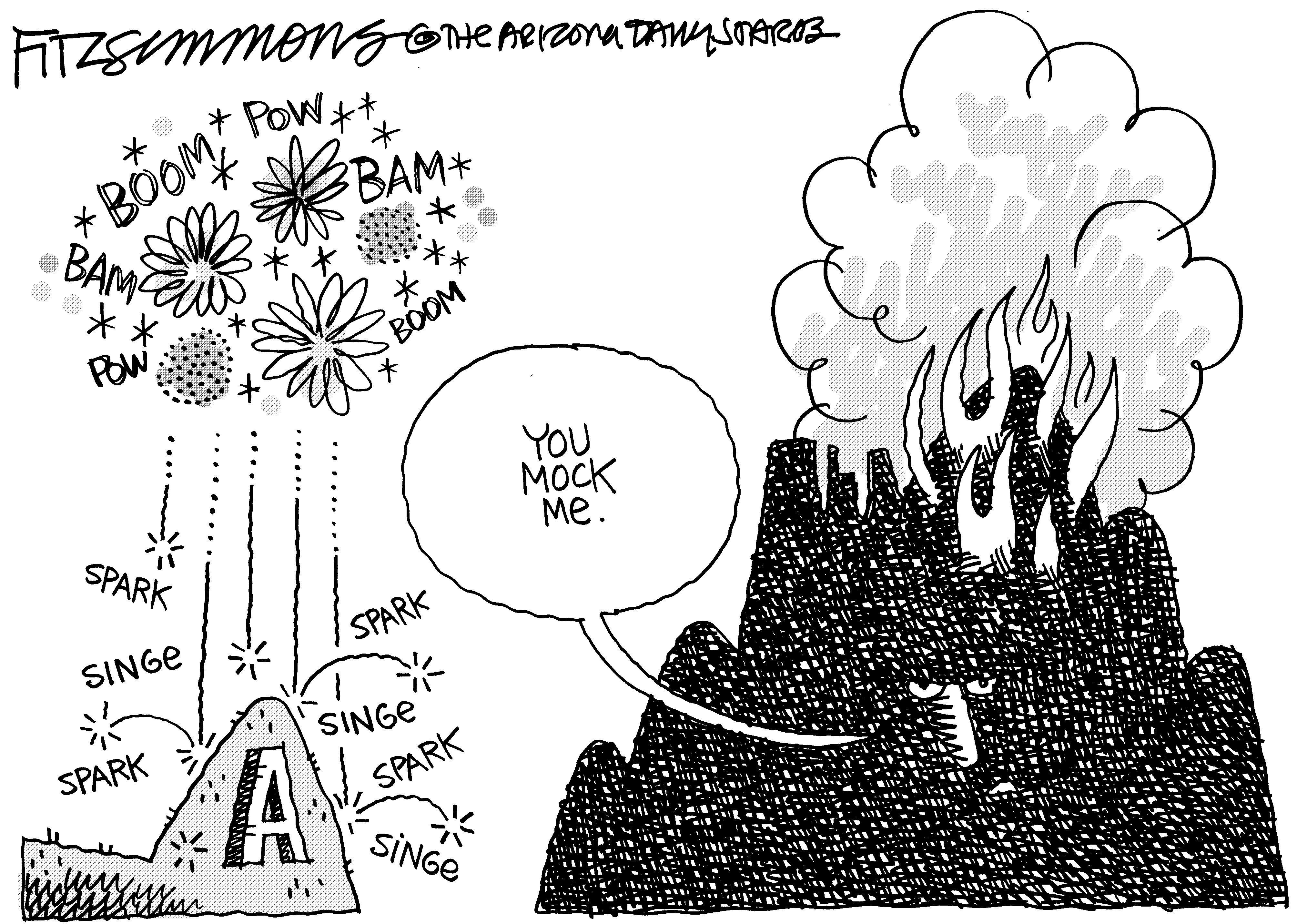 Cartoons for the Fourth