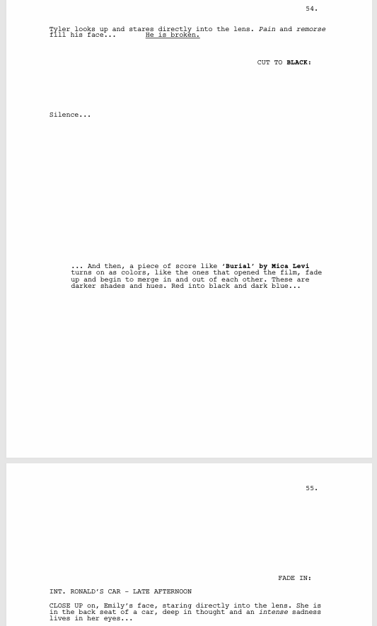 WAVES by Trey Edward Shults | The Screenplay Lab